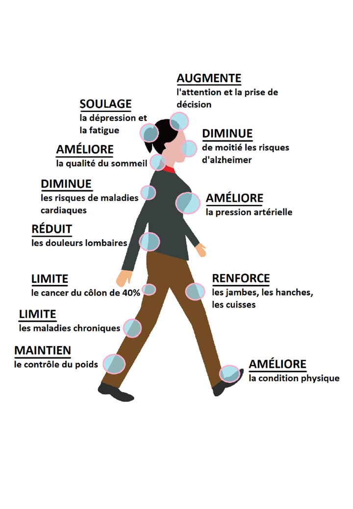 Les bienfaits de la marche Les bienfaits de la marche